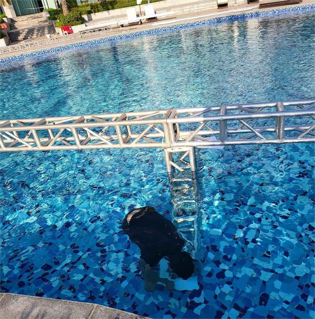 How Can you make a dance stage over swimming pool? - DRAGON STAGE